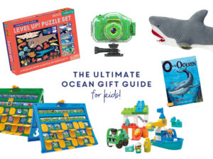 The Ultimate Gift Guide for Kids Who Love the Ocean