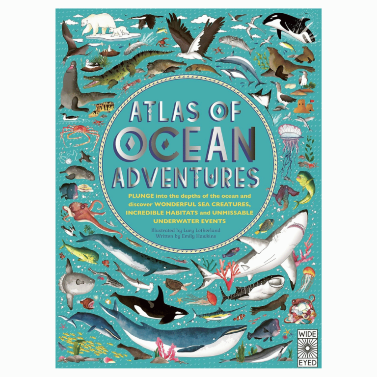 The Ultimate Gift Guide for Kids Who Love the Ocean
